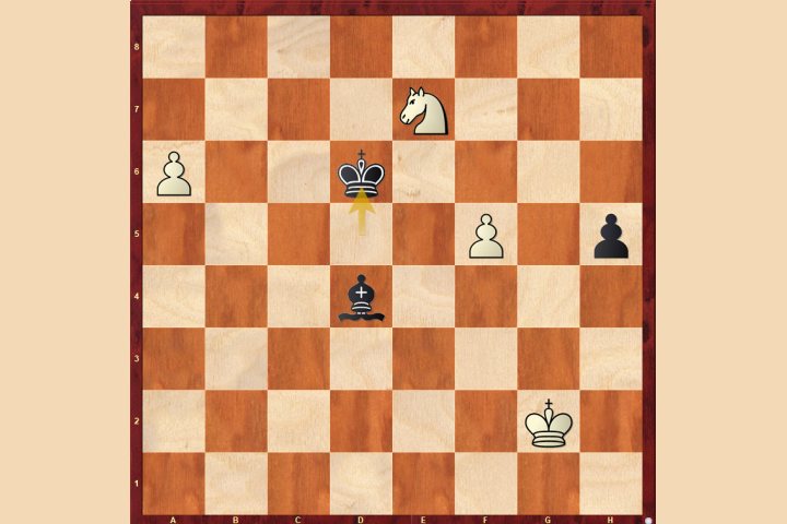 The knightmare | ChessBase