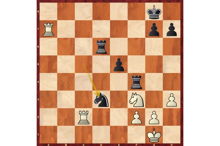 Rooks and knights | ChessBase