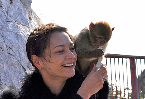 Gibtel Masters – four leaders with one round to go | ChessBase