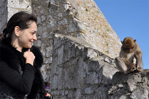 Gibtel Masters – four leaders with one round to go | ChessBase