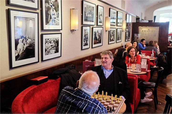 Chess returns to Vienna’s Café Museum | ChessBase