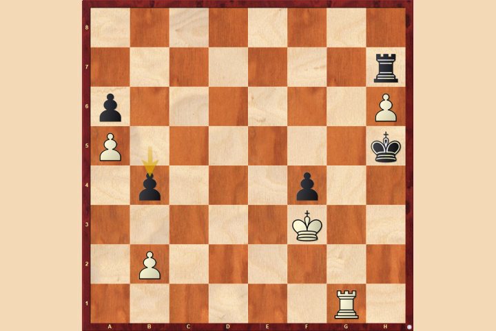 A strong king | ChessBase