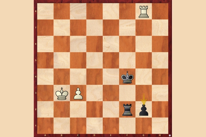 The bodycheck | ChessBase