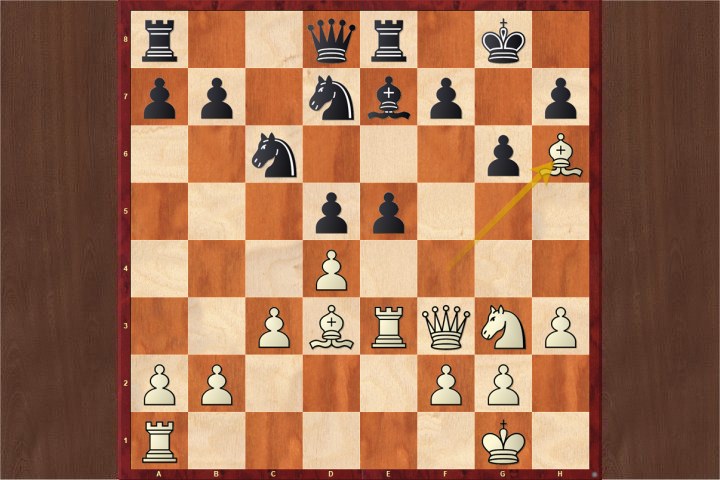 Olympic spotlight | ChessBase