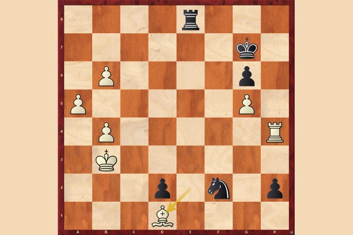 The power of passed pawns | ChessBase