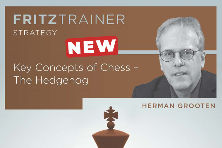 Herman Grooten: Key Concepts of Chess - The Hedgehog | ChessBase