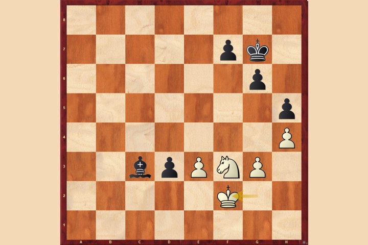 The king rules | ChessBase