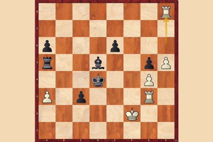 The rook belongs behind the passed pawn | ChessBase