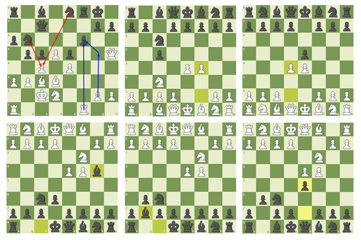 Aggressive vs. defensive openings: chess and personality | ChessBase