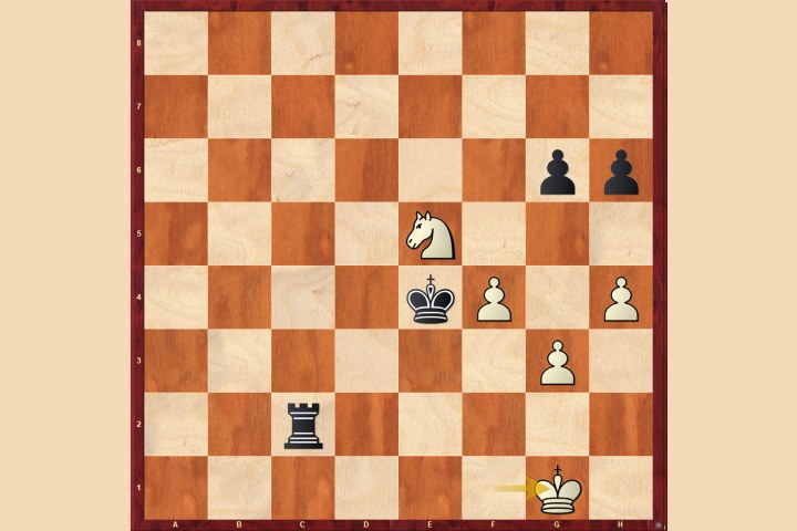 Rook vs knight | ChessBase