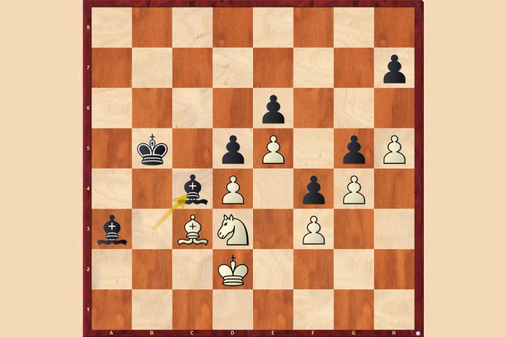 The power of the bishops | ChessBase