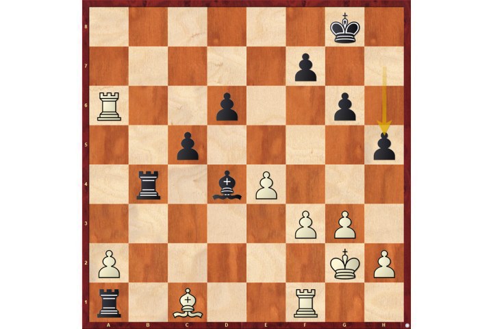 Counter-trick | ChessBase