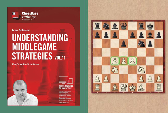 Ivan Sokolov explains how to handle the King's Indian successfully ...