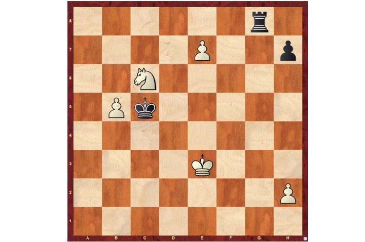 A strong knight | ChessBase