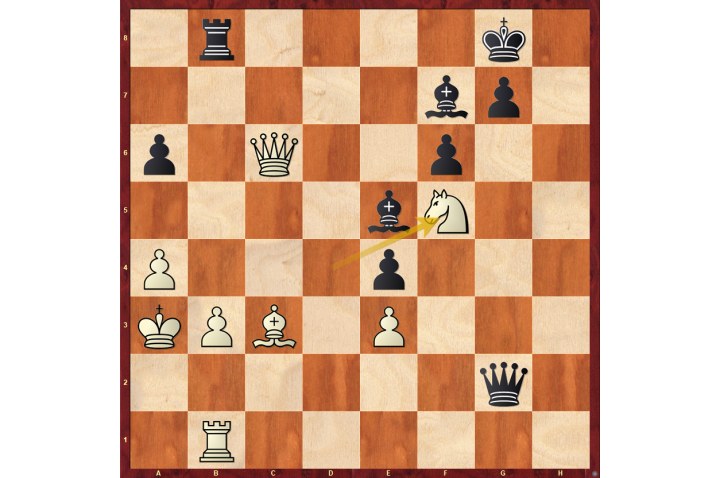 In cold blood | ChessBase