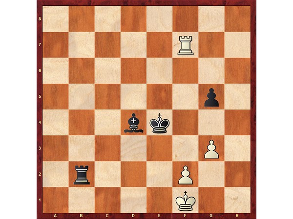 Storming the fortress | ChessBase