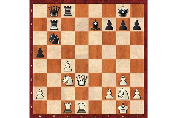 The final fork | ChessBase