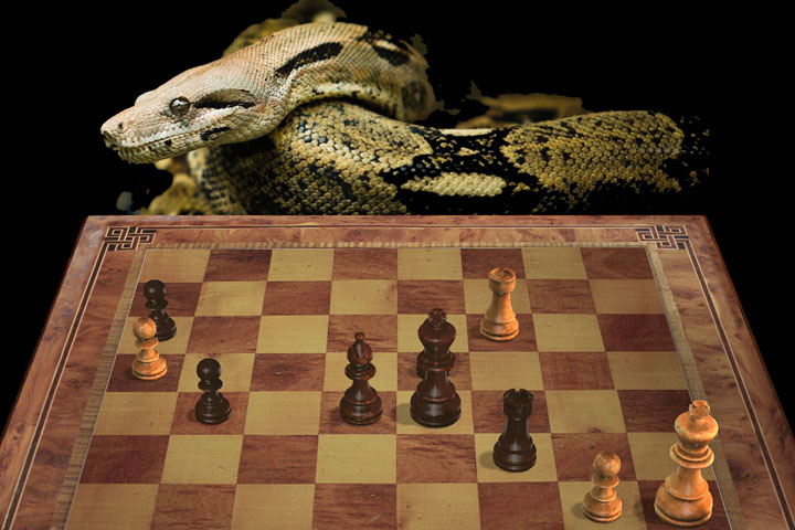 Komodo MCTS: the boa constrictor approach | ChessBase