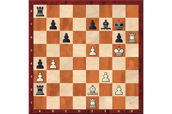 Cool counter | ChessBase